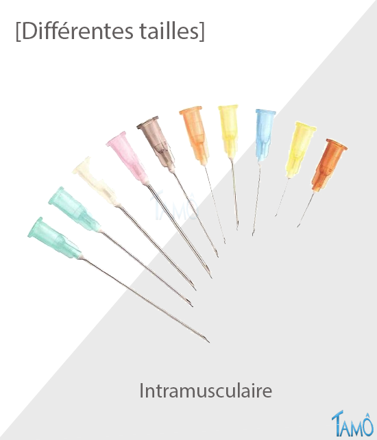 Aiguille Pour Im – Injection intramusculaire : comment la faire, où ...